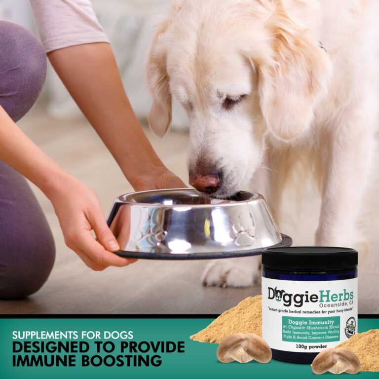 Dog Immune Booster with Organic Mushroom Blend | Doggie Herbs